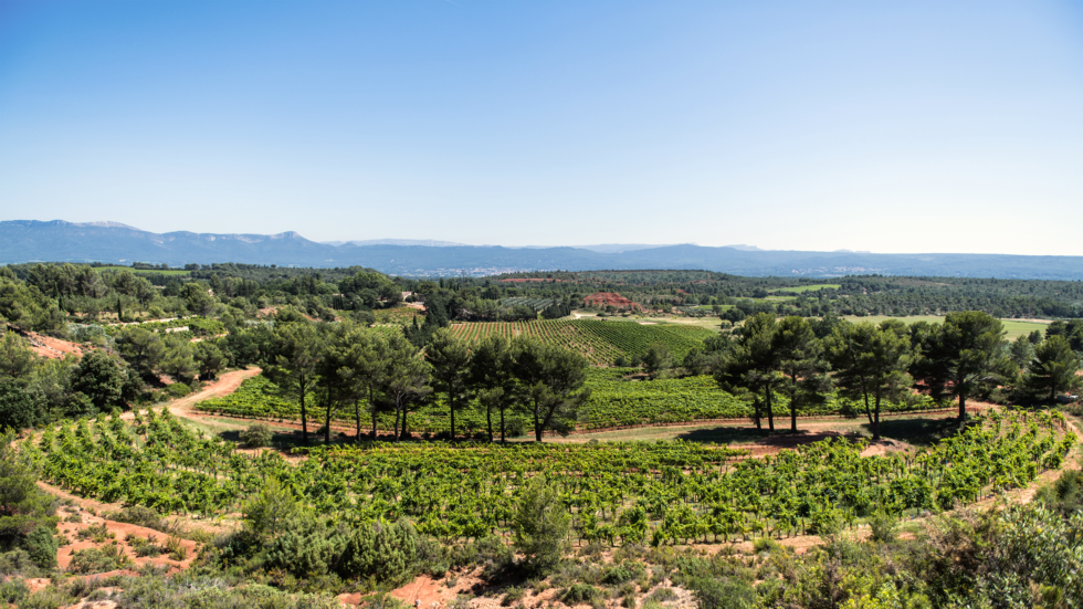 Page d'accueil - Domaine Richeaume