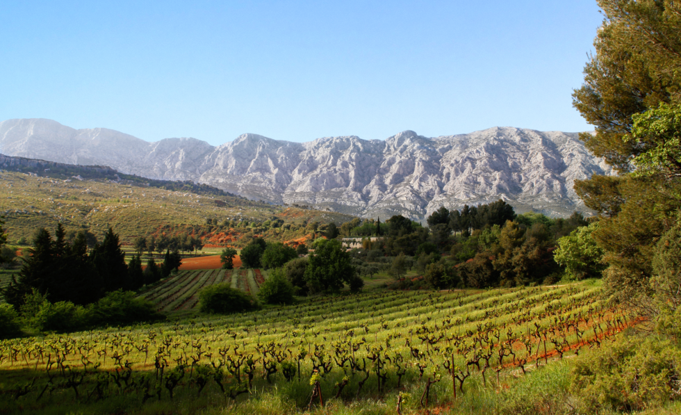 Page d'accueil - Domaine Richeaume